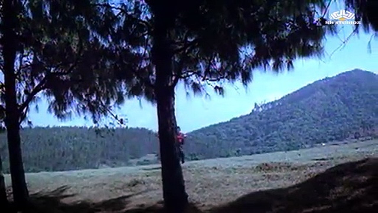 Main Na Bhulaoonga / Inteha Pyar Ki (1992) / Rishi Kapoor , Rukhsar ...