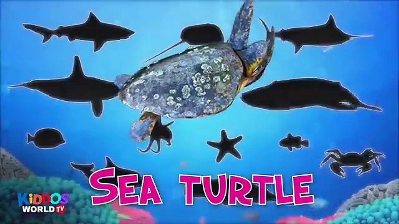 Learn Sea Animal Names - Ocean Animal Videos - Sea Animal Puzzle for ...