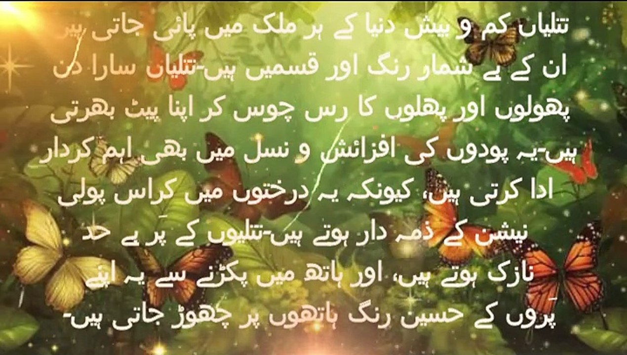 Rang Birangi Titliyan | rang birangi pyari titli poem - video Dailymotion