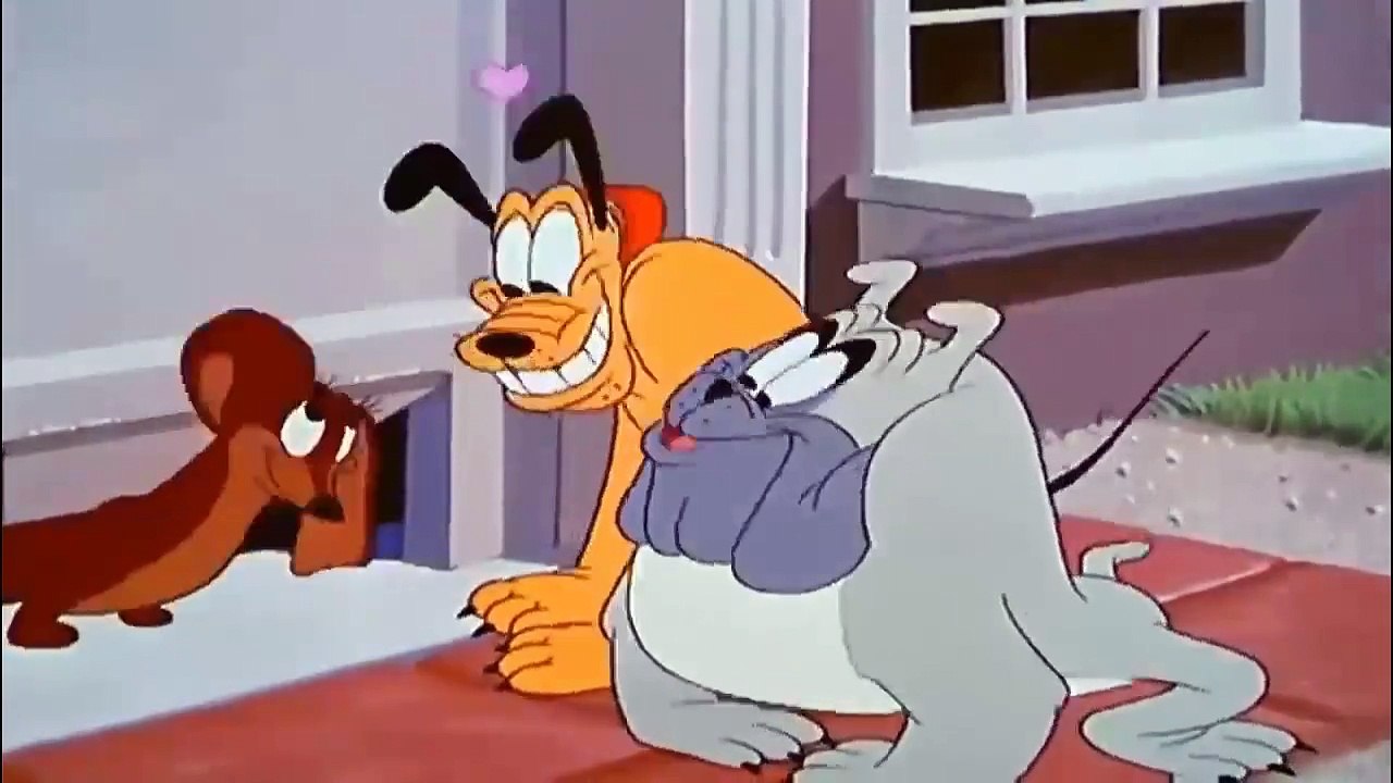 Pluto Cartoon | Classic Disney Adventures - video Dailymotion