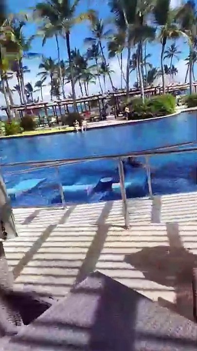 BARCELO PALACE DELUXE BABARO PUNTA CANA REPUBLICA DOMINICANA. - Vídeo ...