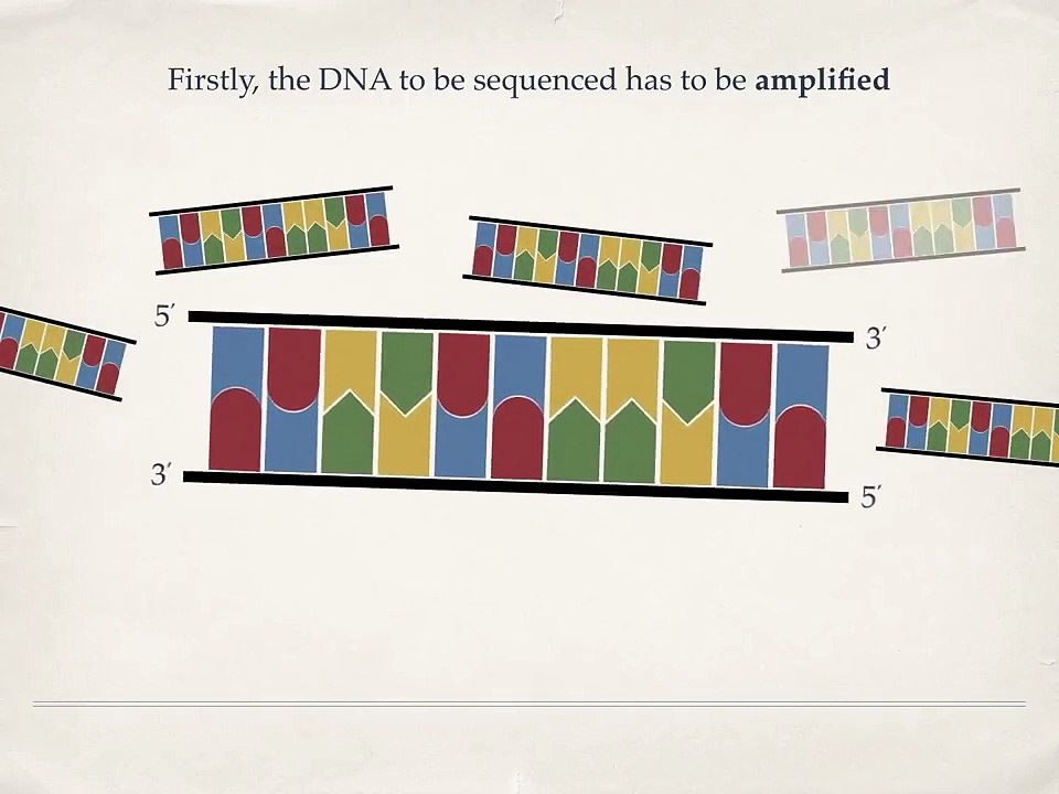 The Sanger Method of DNA Sequencing - video Dailymotion