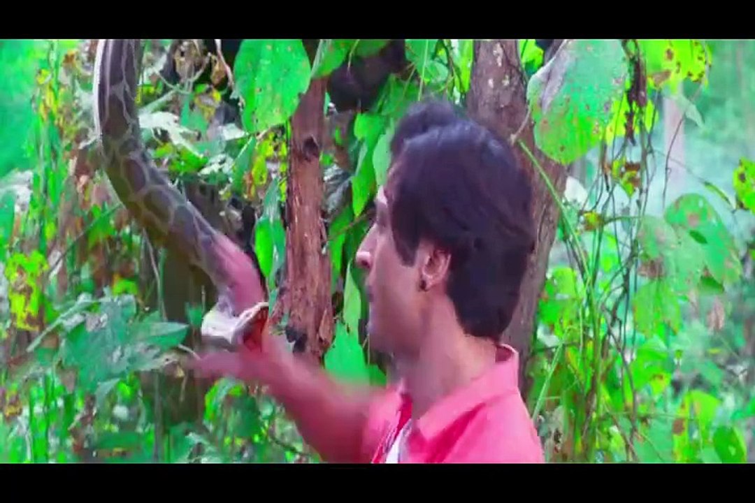 JUNGLEE (2019) Hindi.Untouched.WEB.DL.720p.AVCx264.AAC. (Superhit Bollywood Romantic Comedy Film ...