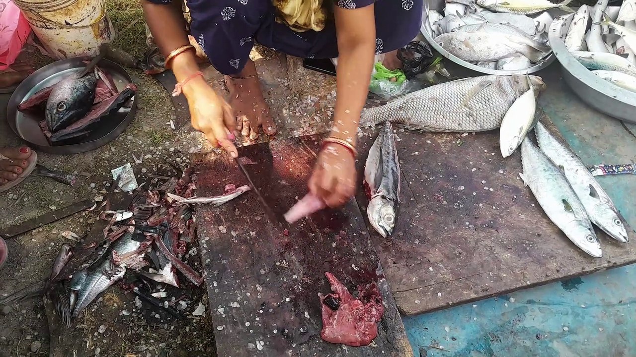 Mackerel & Baby Shark Fish Cutting at Indian Fish Market – Must Watch ...