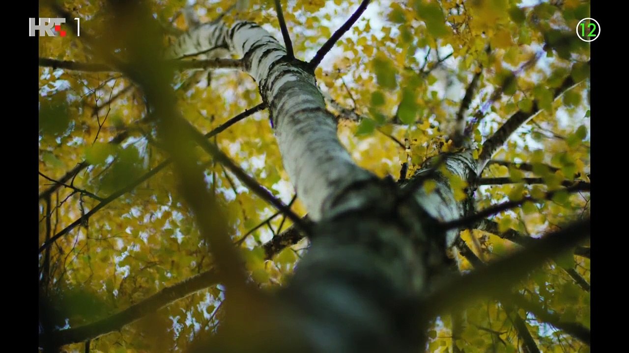 Sram (2024) - Epizoda 7 - Domaća serija - video Dailymotion