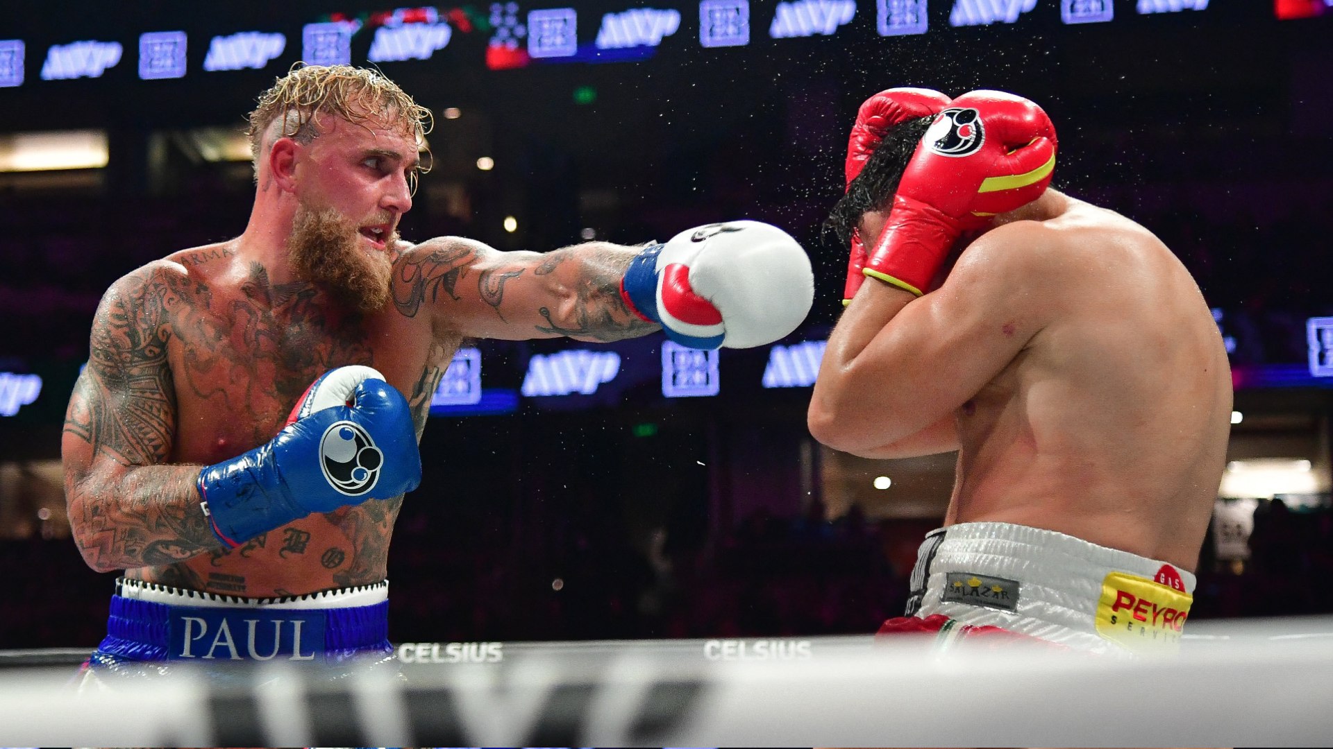 Jake Paul vs Julio César Chávez Jr.: quién ganó, por decisión o por nocaut, y todo lo que debes ...