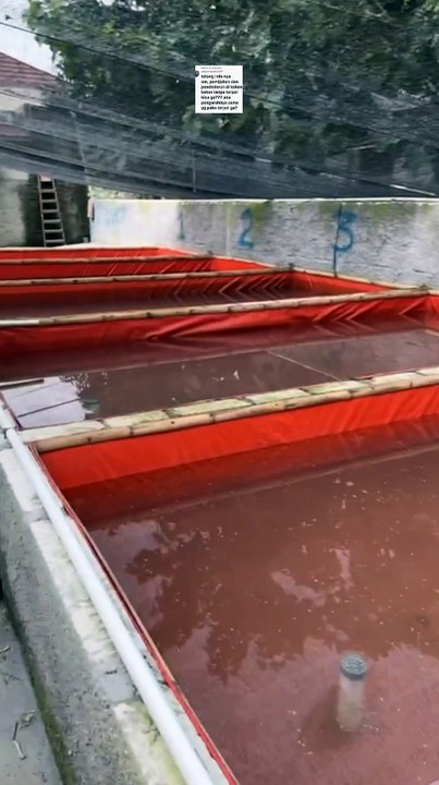 Kenapa kolam beton dilapisi terpal, kerja dua kali dan boros modal ...