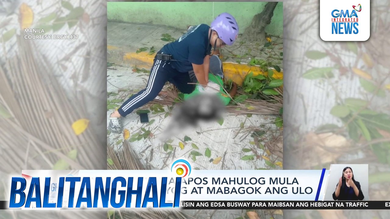 Lalaki, patay matapos mahulog mula sa puno ng niyog at mabagok ang ulo ...