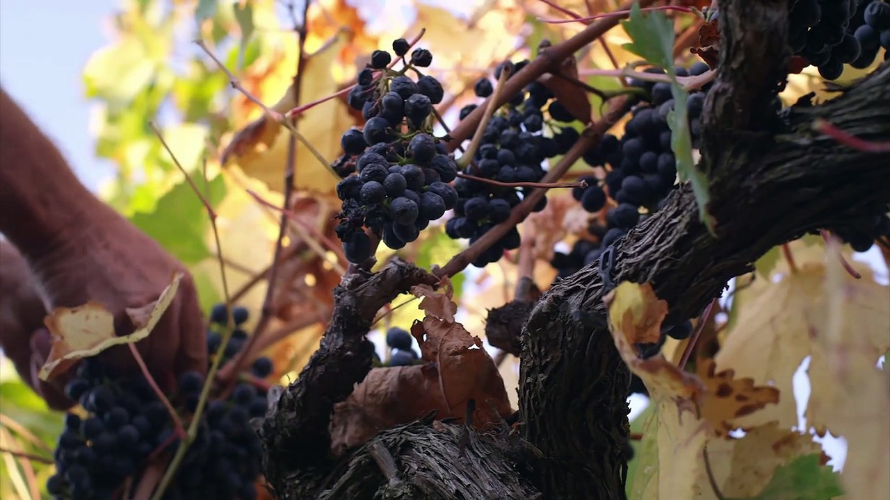 Dave Stotts- Jesus Returns to Galilee - Drive Thru History - The ...