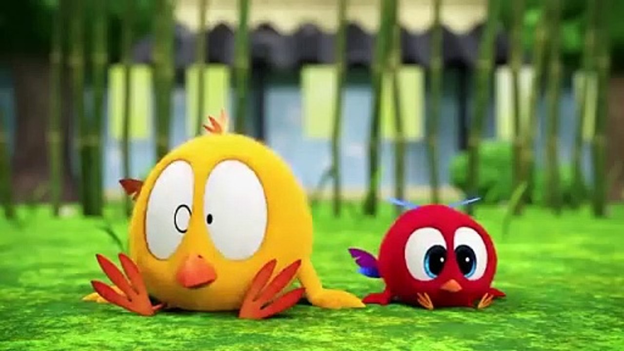Where's Chicky? Funny Chicky 2023 | COMPILATION | Cartoon in English ...