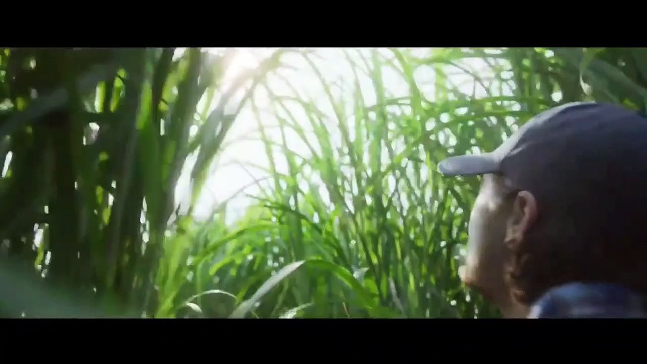 Mysterious Stone Traps People In Time Loop & There is No Way Out 🤯 ...