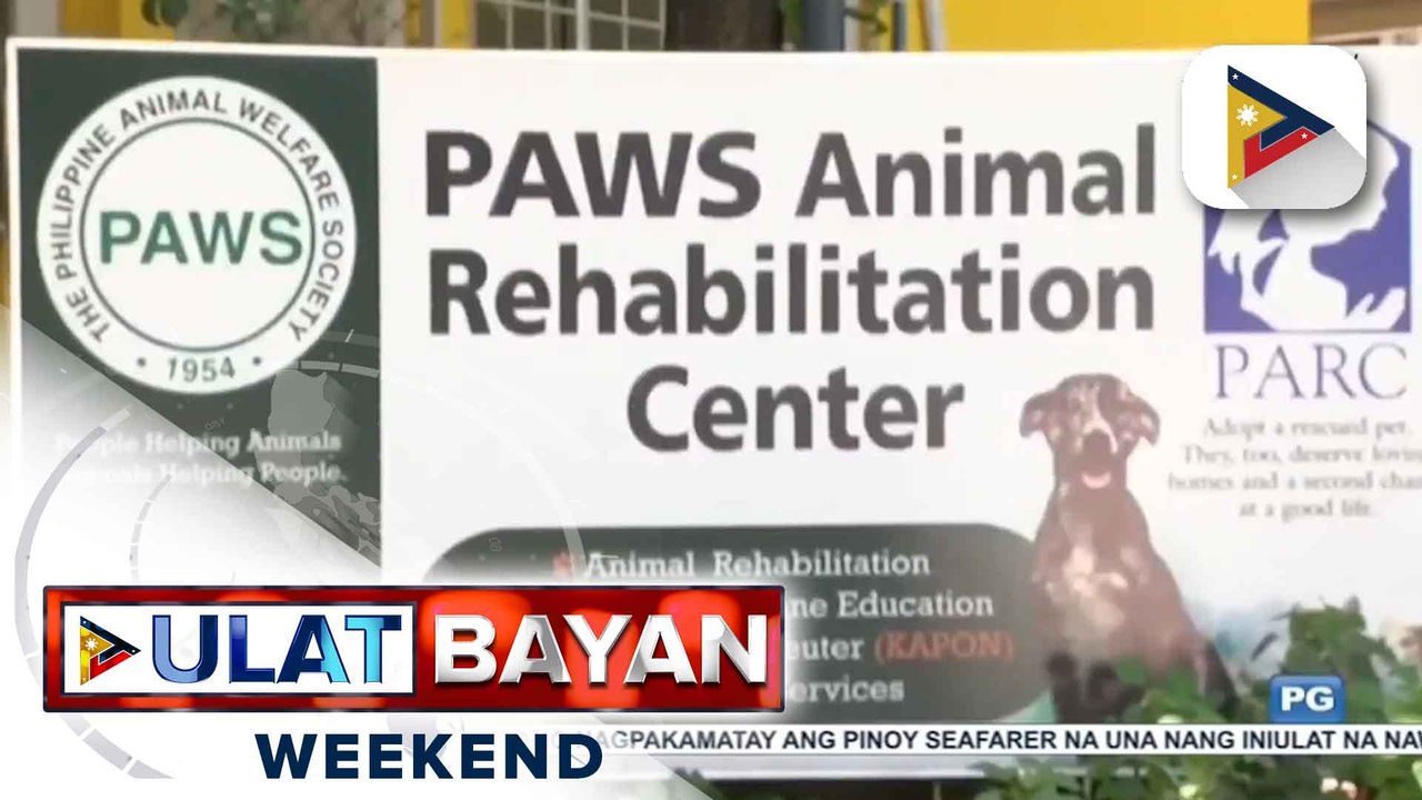 'Furst' Date Valentine's Day fundraising event, ilulunsad ng PAWS ...