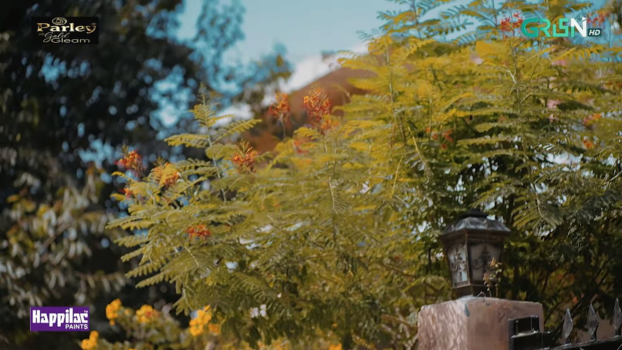 Faraar Episode 13 (Subtitles) 9th Feb 2025 - Hamza Ali Abbasi - Ahmed ...