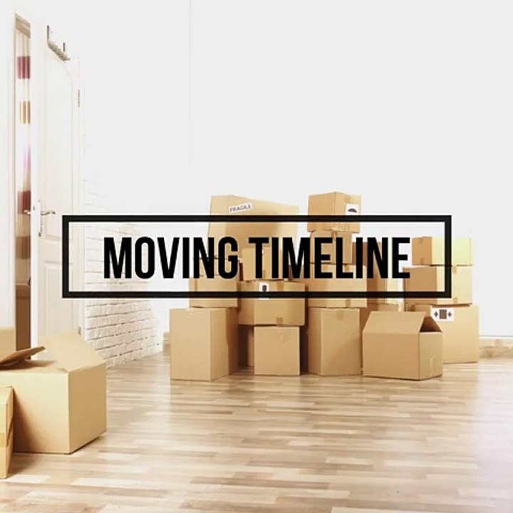 Ronnie Tarabay: moving Timeline - video Dailymotion