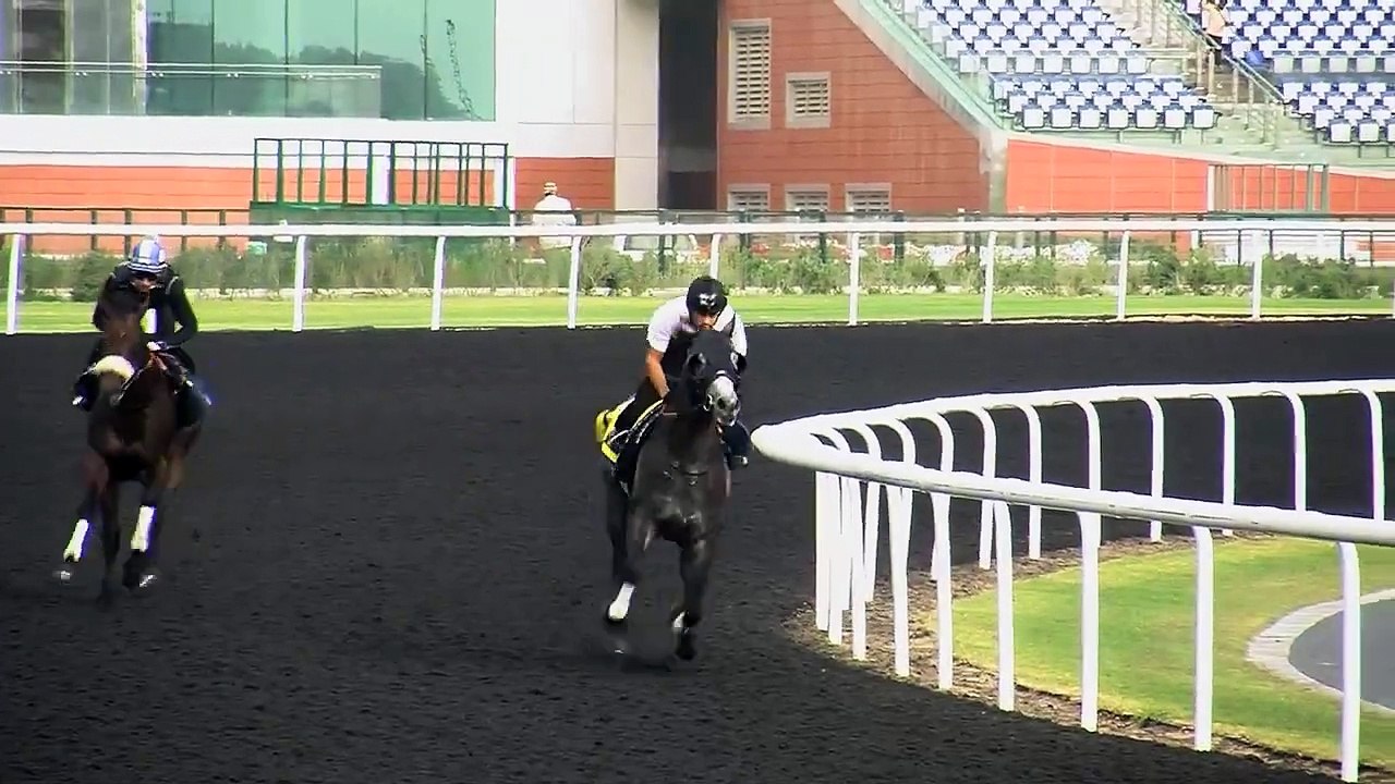 Exclusive video tour of the Meydan race track - video Dailymotion