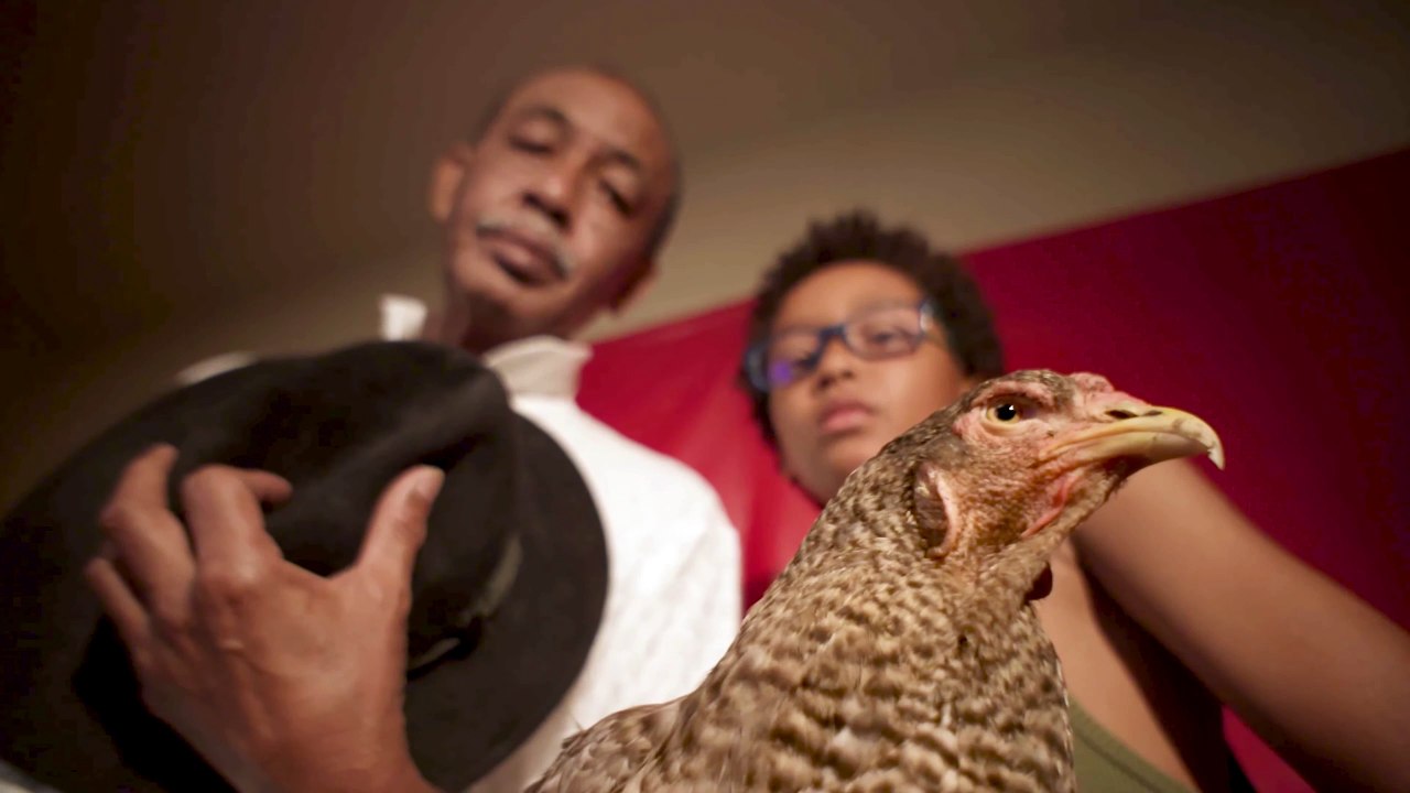 The Truth about Alvert, the Last Dodo | movie | 2023 | Official Teaser ...