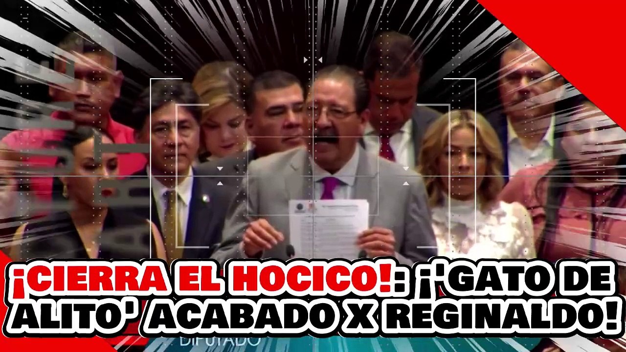 ¡CIERRA EL HOCICOTE! ¡’GATO de ALITO’ RECIBE UNA BRUTAL CÁTEDRA de ...