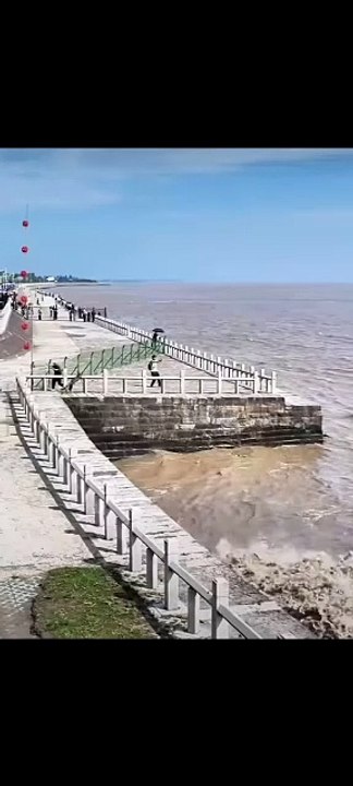 Funny 🤣 video clips - video Dailymotion