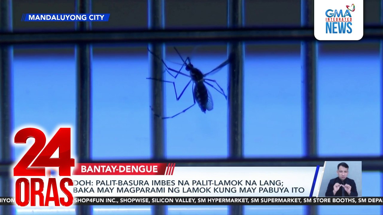 DOH - Palit-basura imbes na palit-lamok na lang; baka may magparami ng ...
