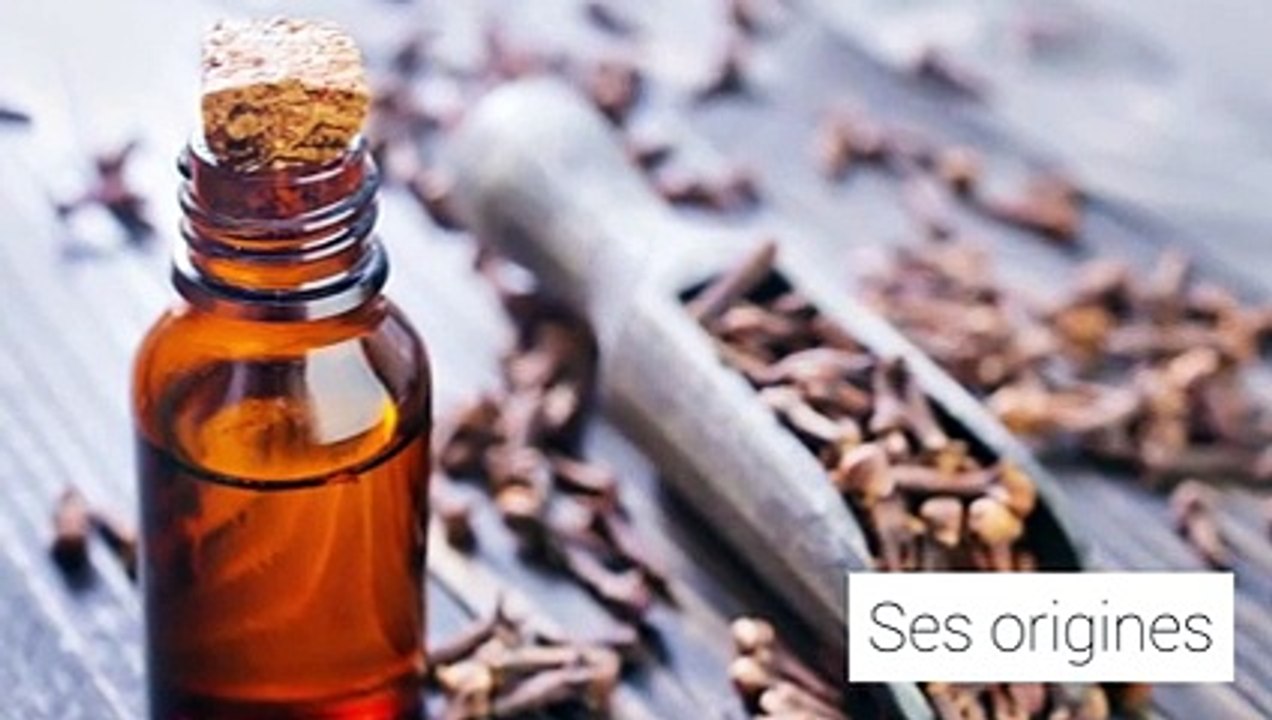 Huiles essentielles : le giroflier - Vidéo Dailymotion