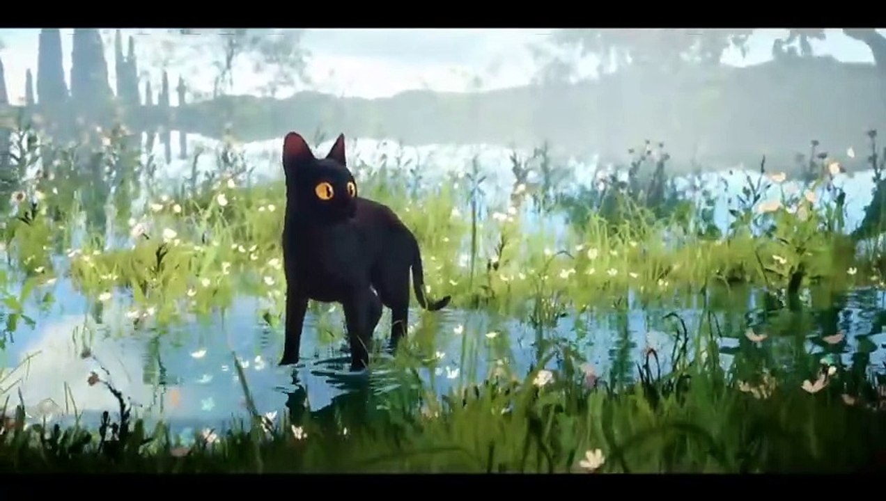 Flow Movie - Behind the Scenes - Inside the Making of Flow - video ...