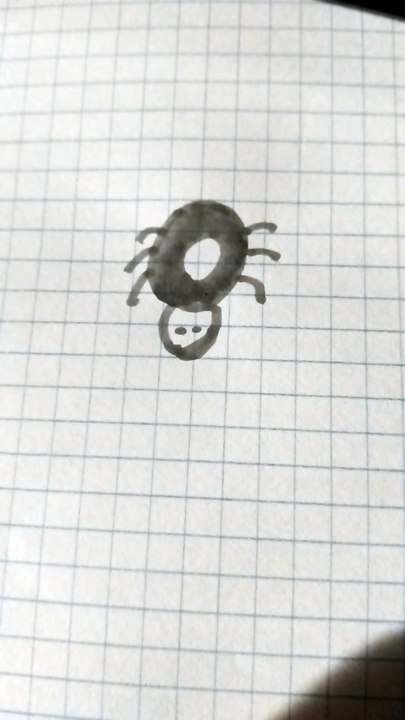 Ragno disegno modello 7 - Video Dailymotion