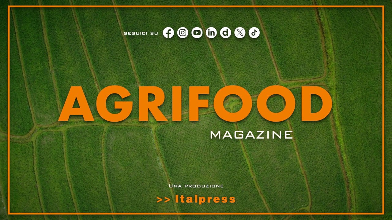 Agrifood Magazine - 12/3/2025 - Video Dailymotion