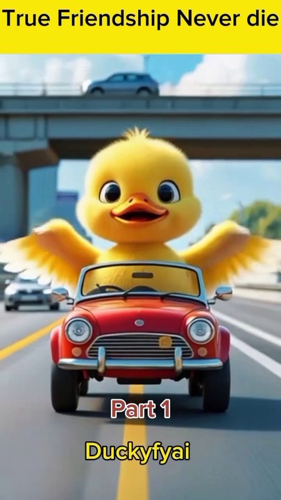 Duck & kangaroo friendship part 1 - video Dailymotion