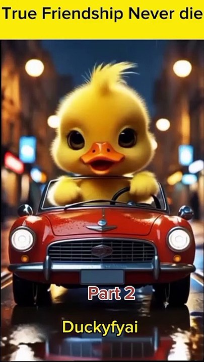 Duck & kangaroo friendship part 2 - video Dailymotion