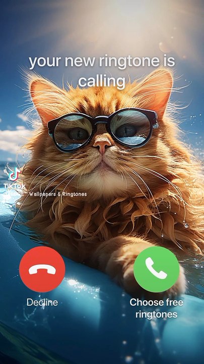 Amazing sound or ringtone- especially for Cat Lovers😍🐈 - video Dailymotion