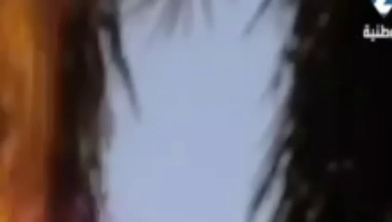 Sahbek Rajel Episode 15 - صاحبك راجل الحلقة 15 - Vidéo Dailymotion