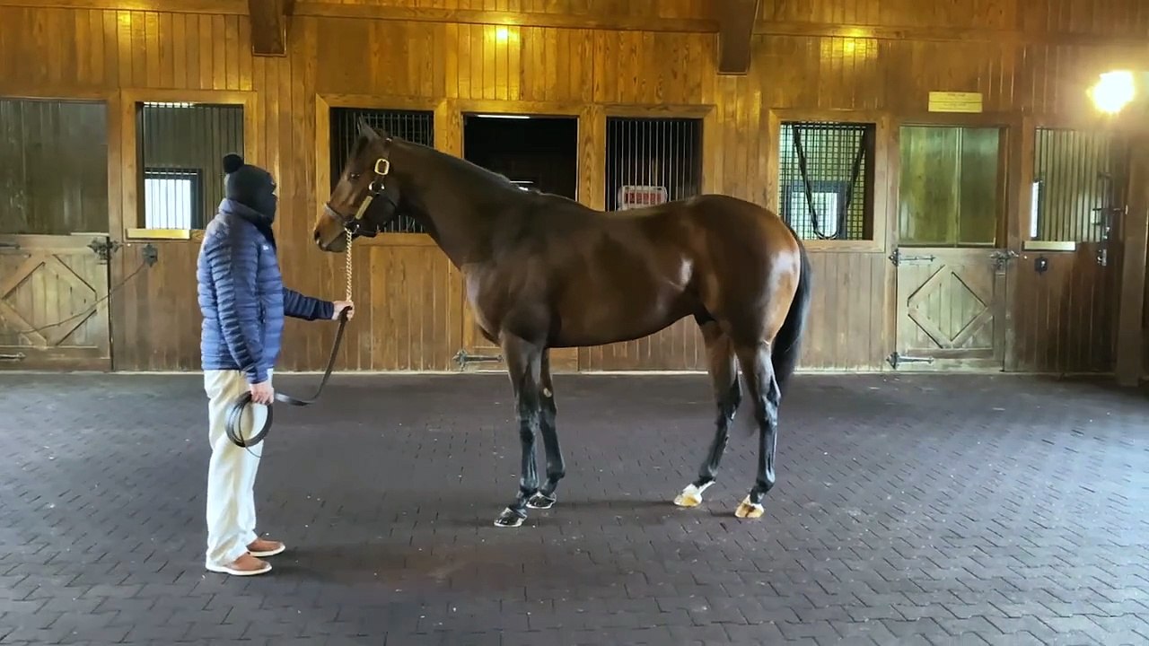 Echo Town 360 video - video Dailymotion