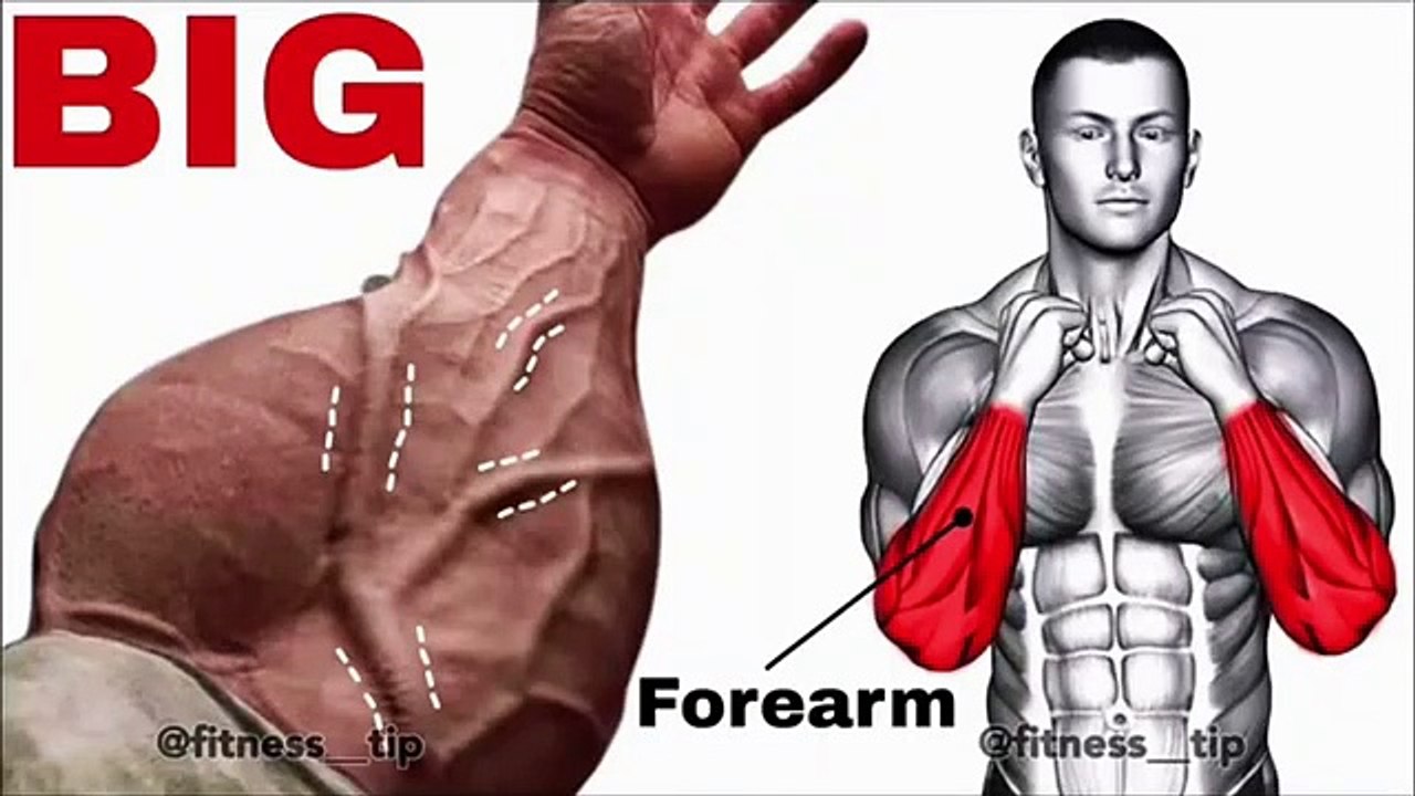 💪 Get Stronger Forearms Fast! Top Exercises for Grip Strength & Power 🚀 ...