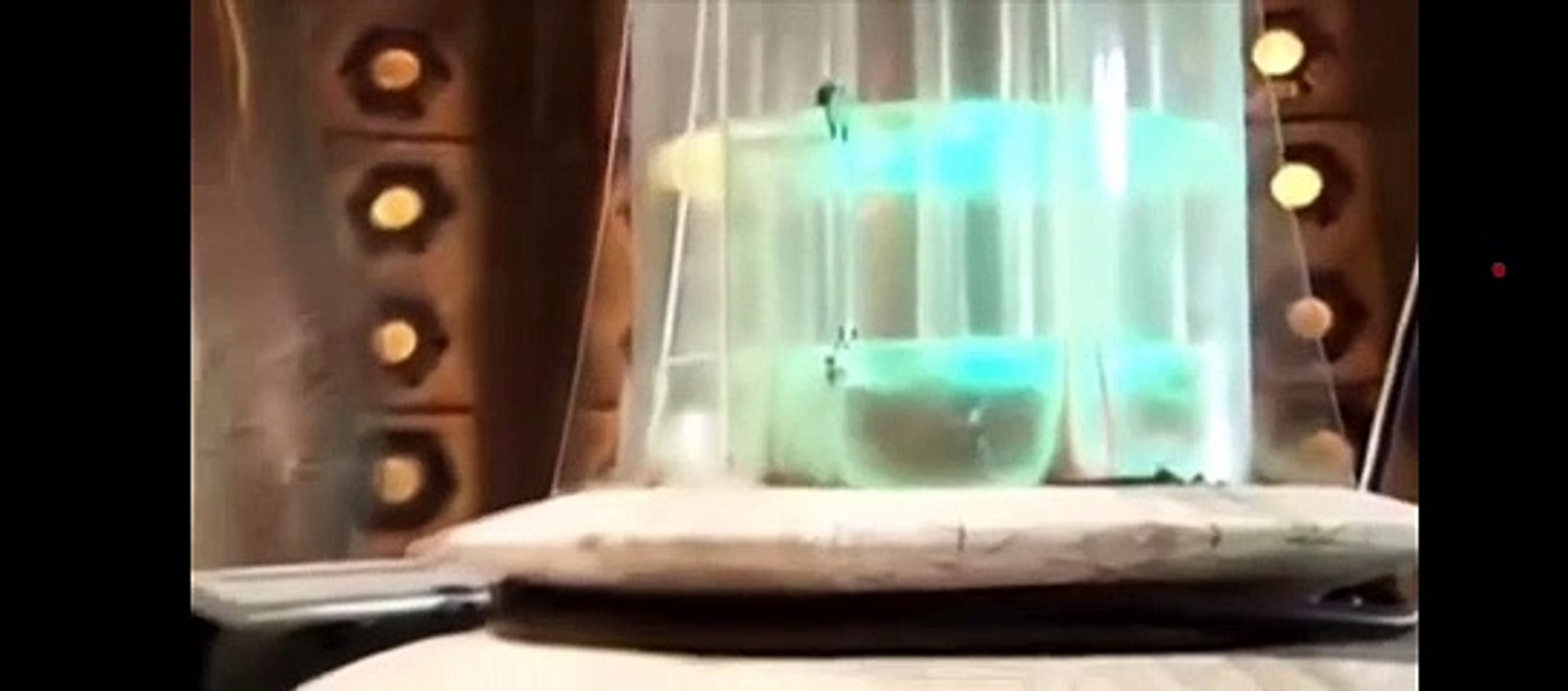 Doctor Who Series 1 Episode 0 Reborn Again - video Dailymotion