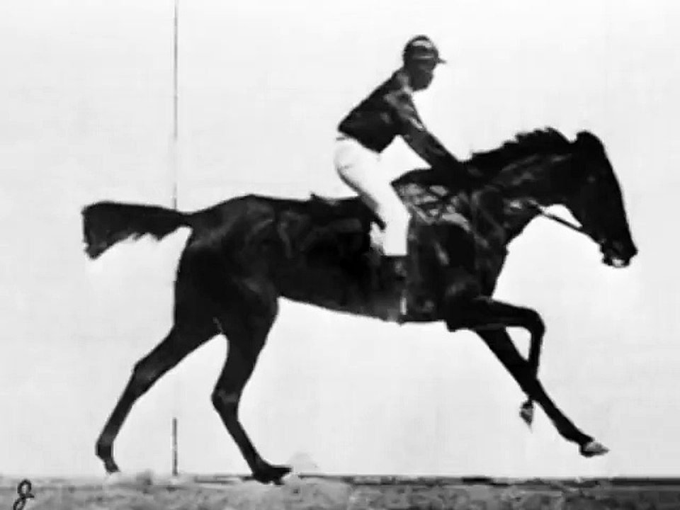 Race Horse First Film Ever 1878 Eadweard Muybridge - Vídeo Dailymotion