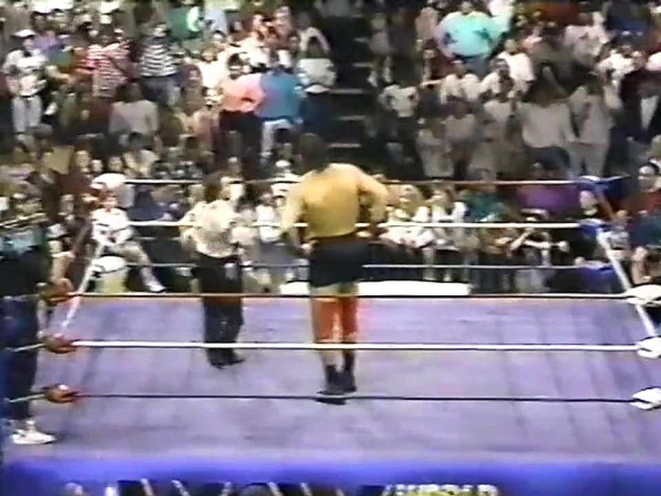 WCW Main Event - 05/05/91 - video Dailymotion