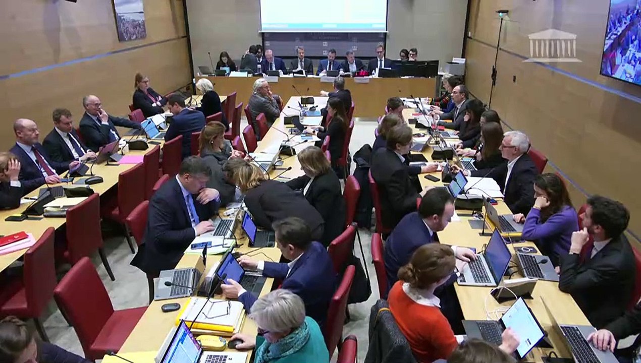 Simplification de la vie économique : Projet de loi de simplification de la vie économique ...