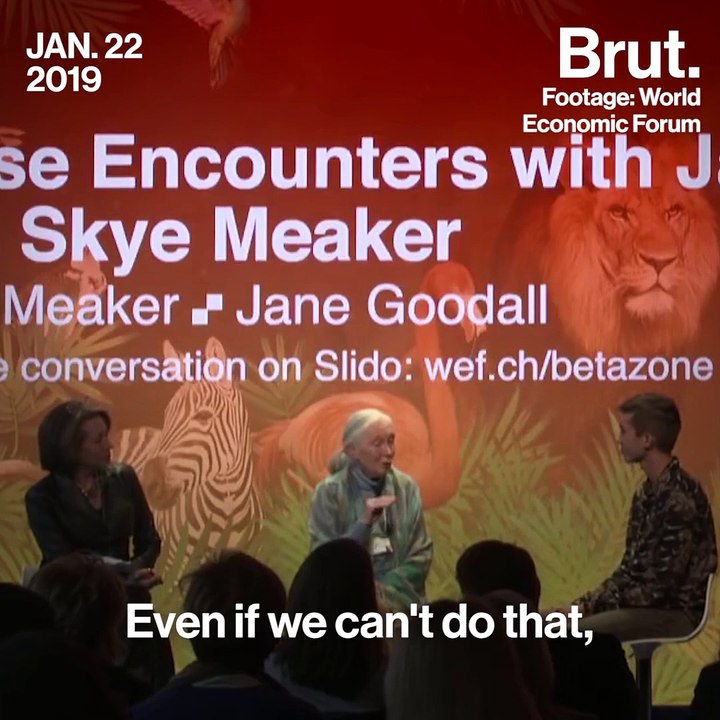 Jane Goodall's talk at Davos - video Dailymotion