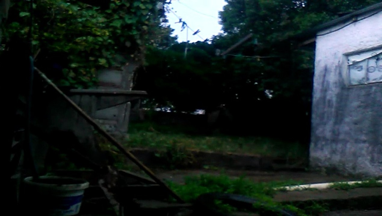 Un poco de lluvia en el Tacua - Tacuarembó, domingo 23 de marzo de 2025 ...