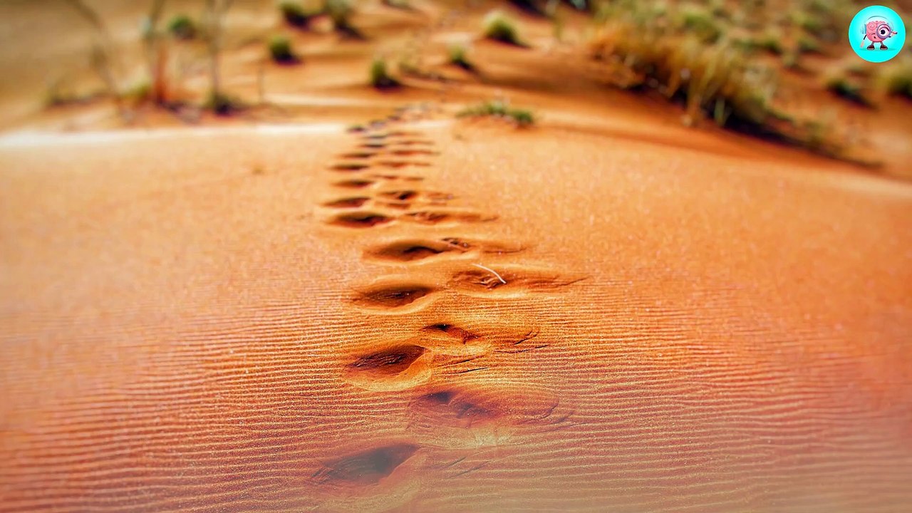 4. ASMR removal of swelling caused by wearing large lip piercings ASMR ...