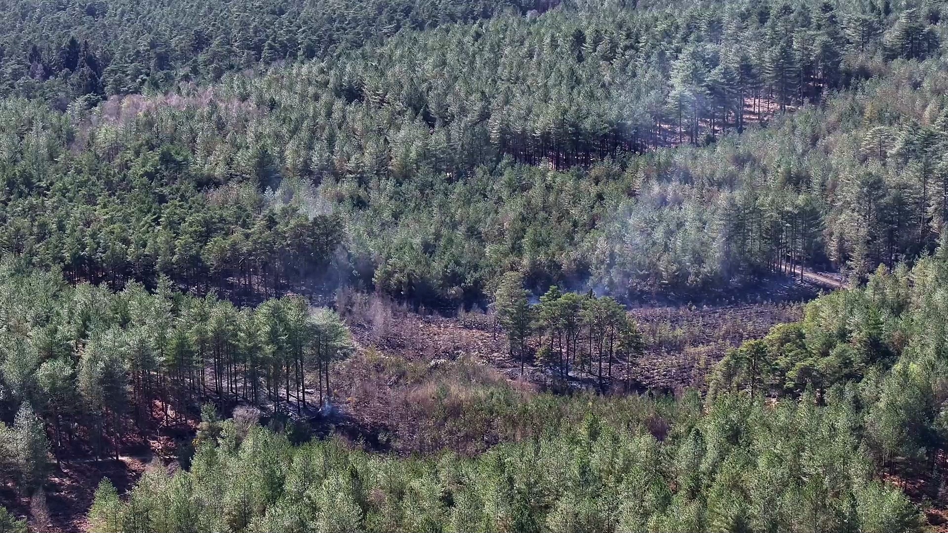 Fire at Moors Valley Country Park 31st March 2025 – video ...