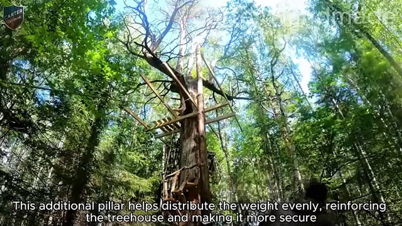 This Man Built A One-Of-A-Kind Treehouse – You Won’t Believe Your Eyes ...
