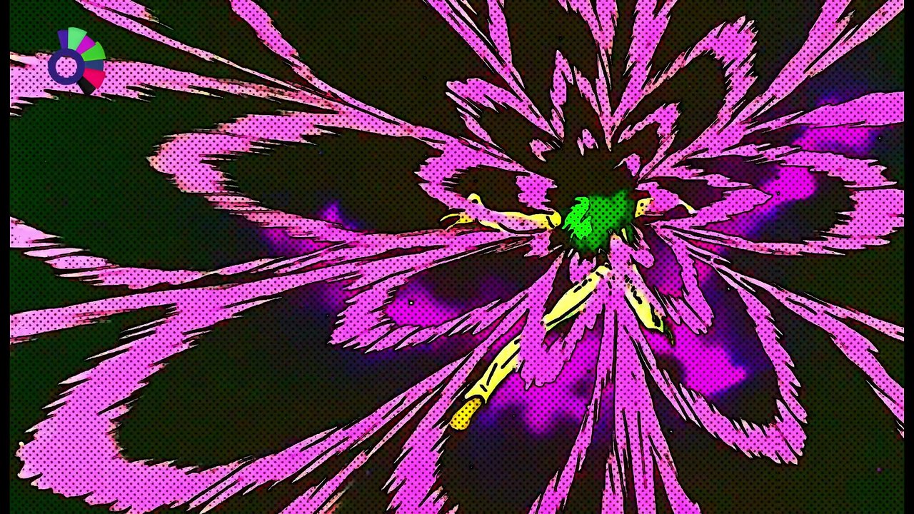 video clip 1 - Vídeo Dailymotion