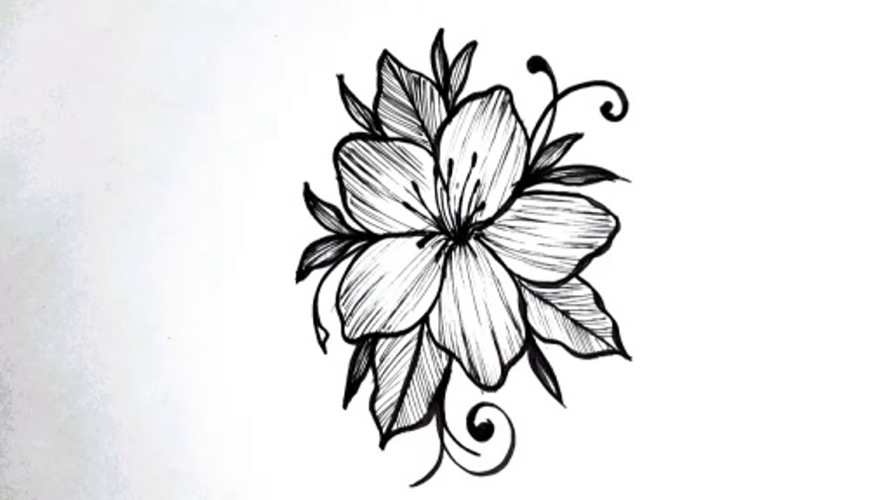 How to Draw a Beautiful Flower _ Easy Flower Drawing Tutorial for ...