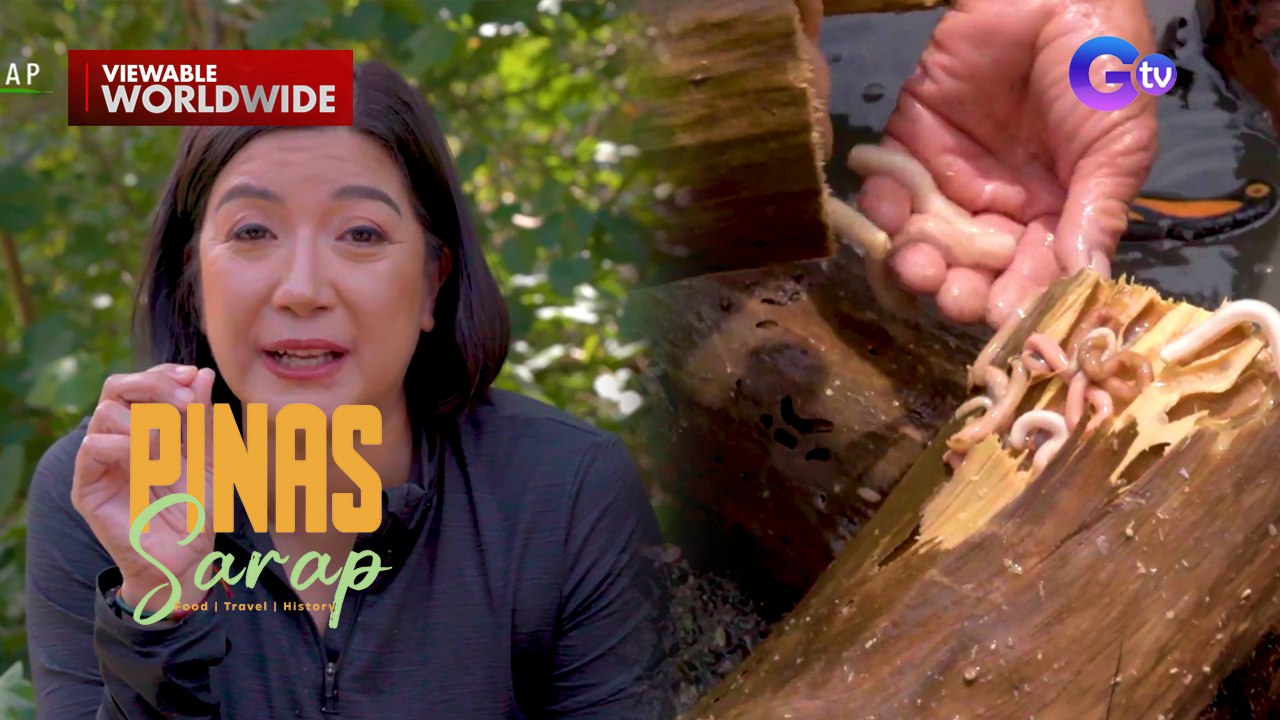 Ginataang kimpi na may pako ng mga taga-Aurora, ano nga ba ang lasa?| Pinas Sarap - video ...