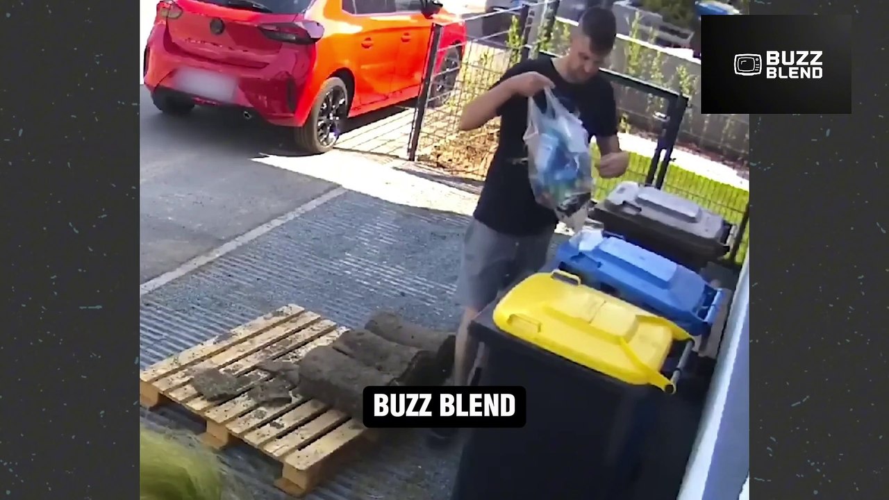 Best of the Week: Funniest Fail Compilation Guaranteed Laughs! - video ...