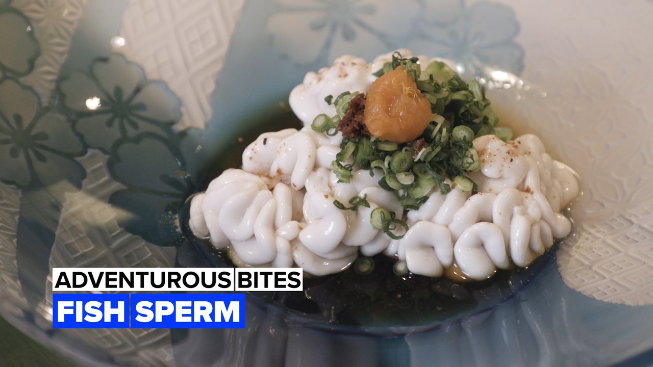 Shirako, the popular fish semen meal in Japan - video Dailymotion