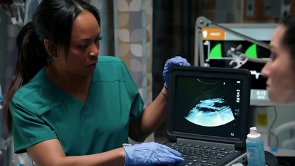 The Rookie Season 5 by alex roper - Dailymotion