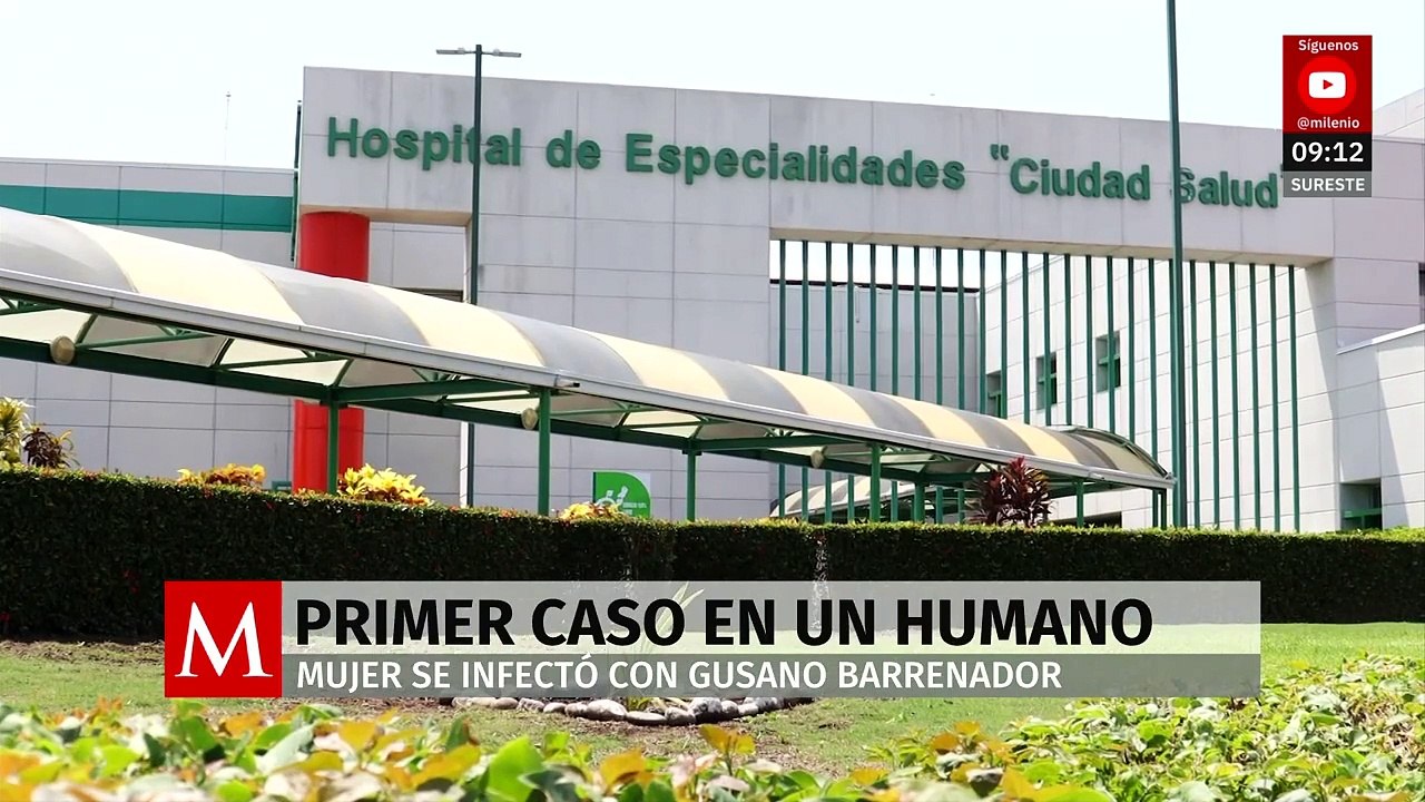 Autoridades de salud reportan primer caso de miasis humano por gusano ...