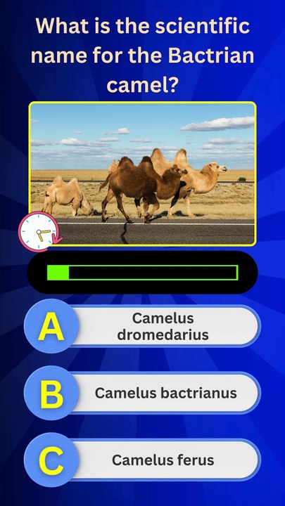Camel Quiz Challenge 🐪 | Test Your Desert Animal Knowledge in 45 ...
